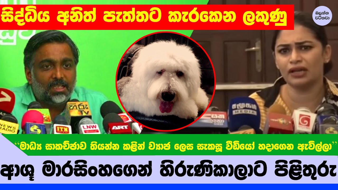 ආශු මාරසිංහගෙන් හිරුණිකාලාට පිළිතුරු - Ashu marasinghe Video - YouTube