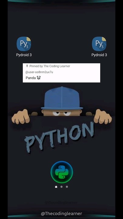 Panda 🐼 Using Turtle Python Programming 👨‍💻 (Py coding on phone ) Check Description For Details ...
