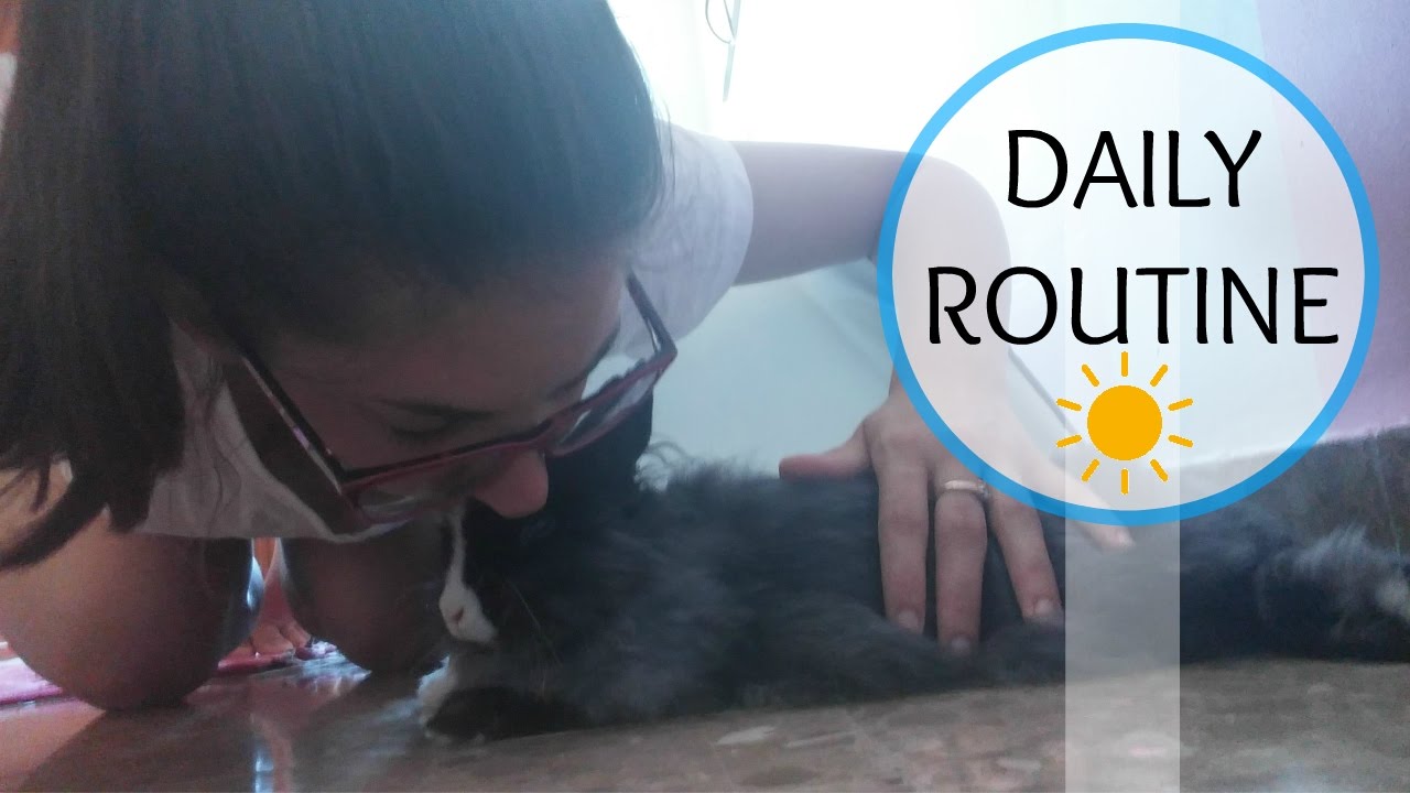 DAILY ROUTINE CON UN CONEJO - daily rabbit routine - YouTube