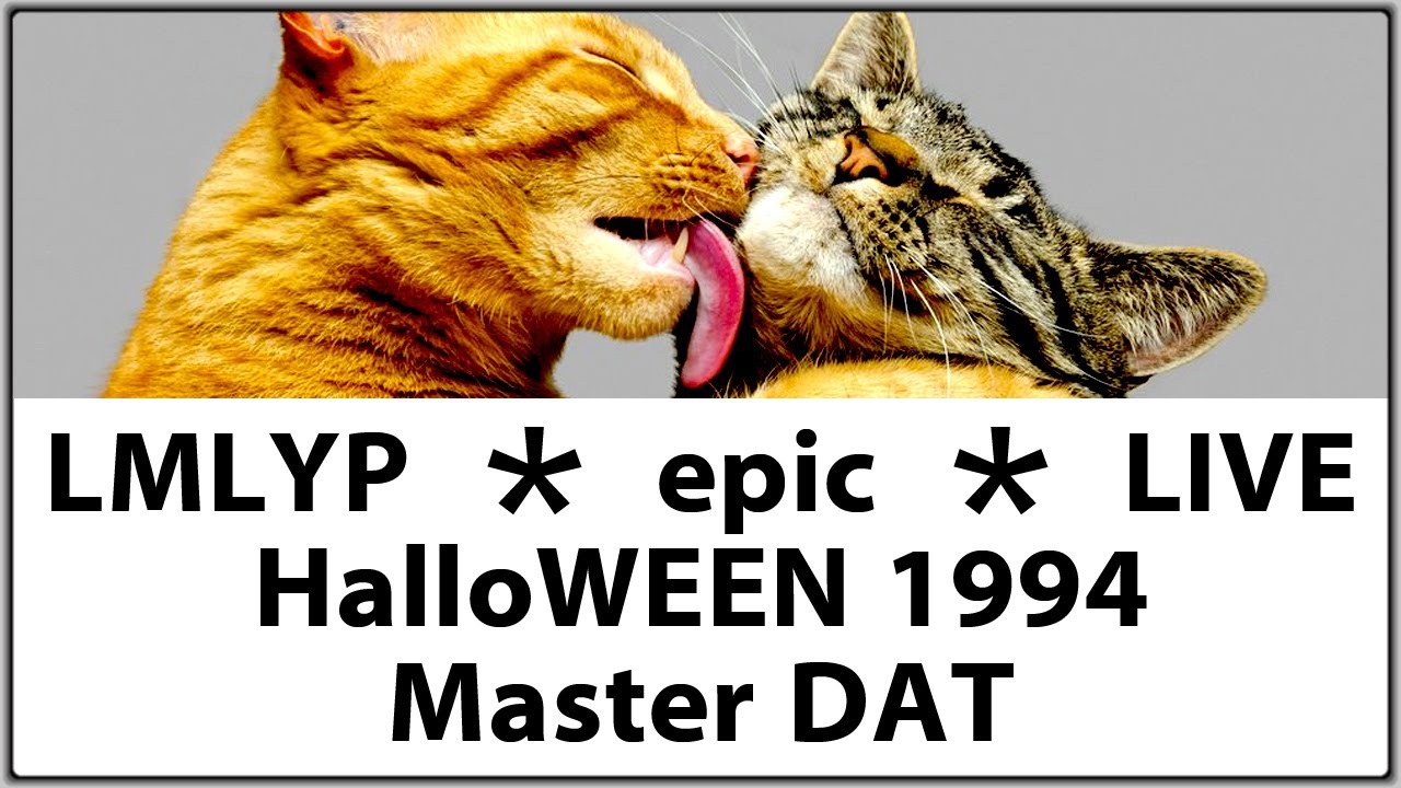 Ween 1994 LMLYP live tribute to Prince w/ Shockadelica & Alphabet St. lyrics playing at First ...