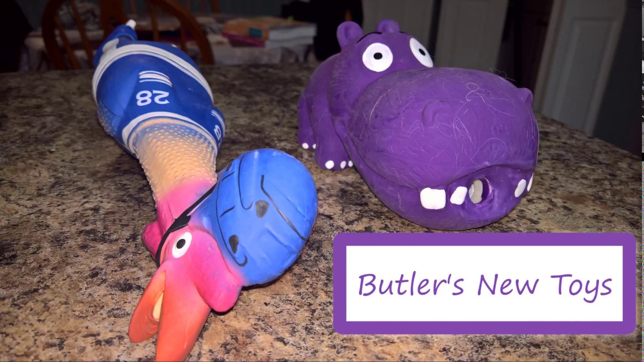 Butler's New Toys - YouTube