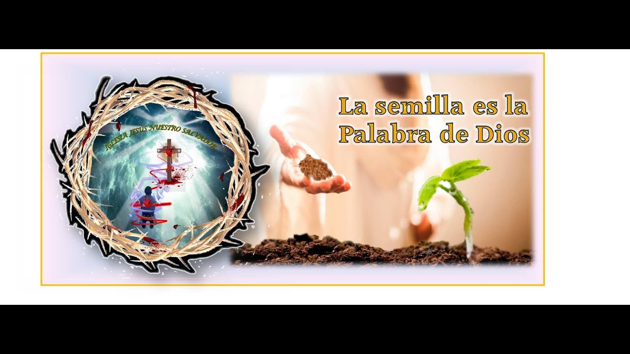 ¨Parábola del sembrador¨ Parte 1 Marcos 4: 1-9 CAPITULO # 151 - YouTube