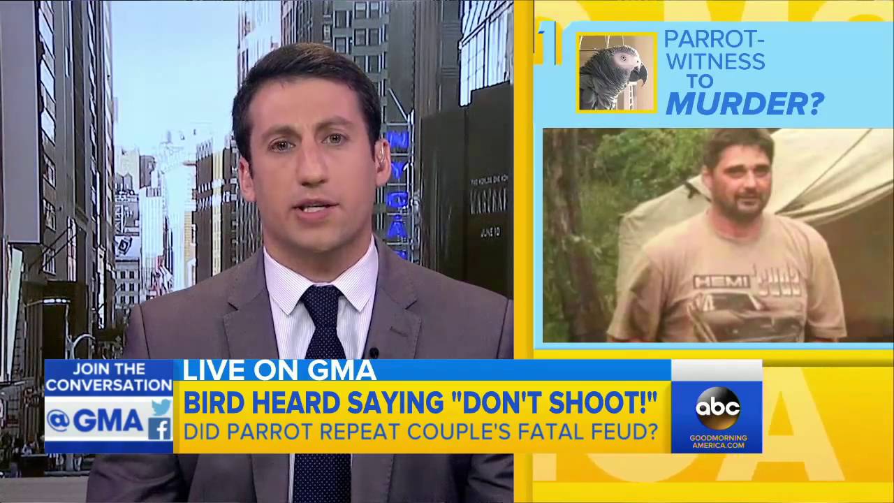 Talking Parrot Witness to Murder | Can the Bird be Used in Court? - YouTube