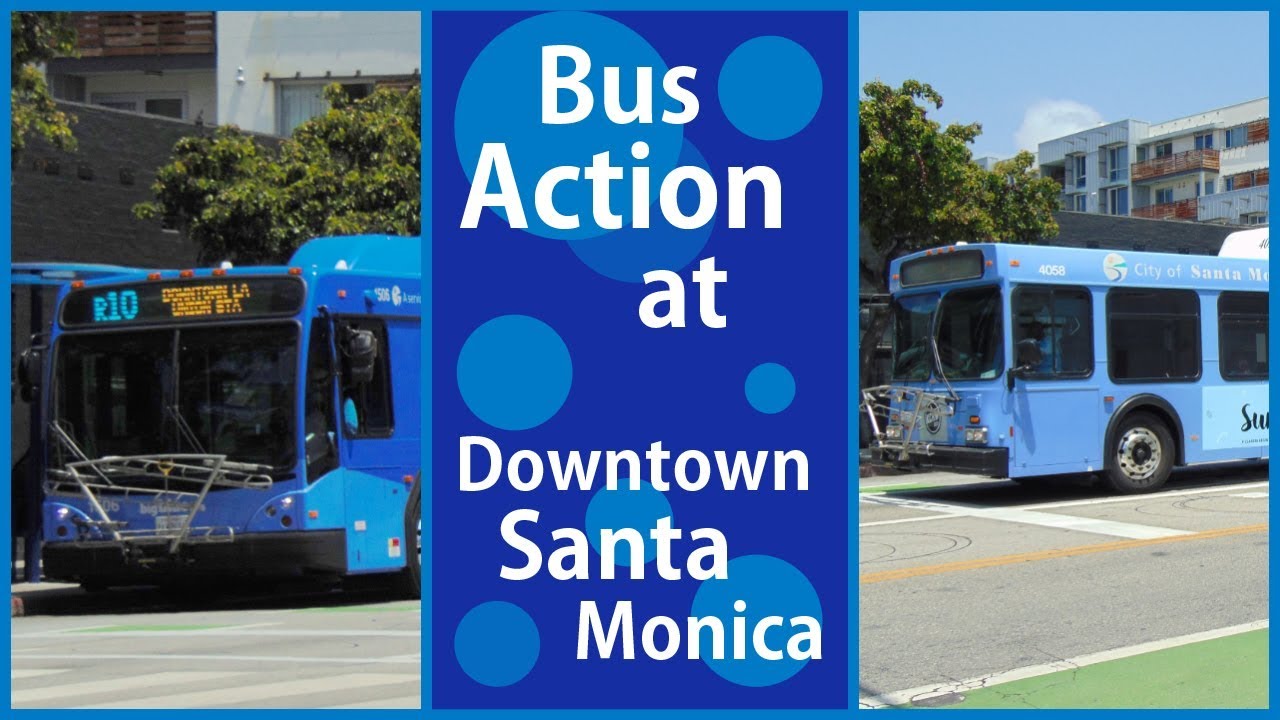 LA Metro and BBB Bus Action at Downtown Santa Monica - YouTube
