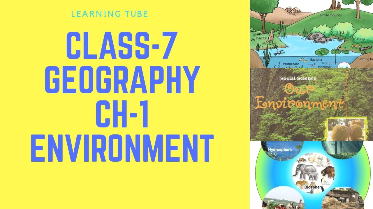 Class-7 geography chapter-1(ENVIRONMENT) - YouTube