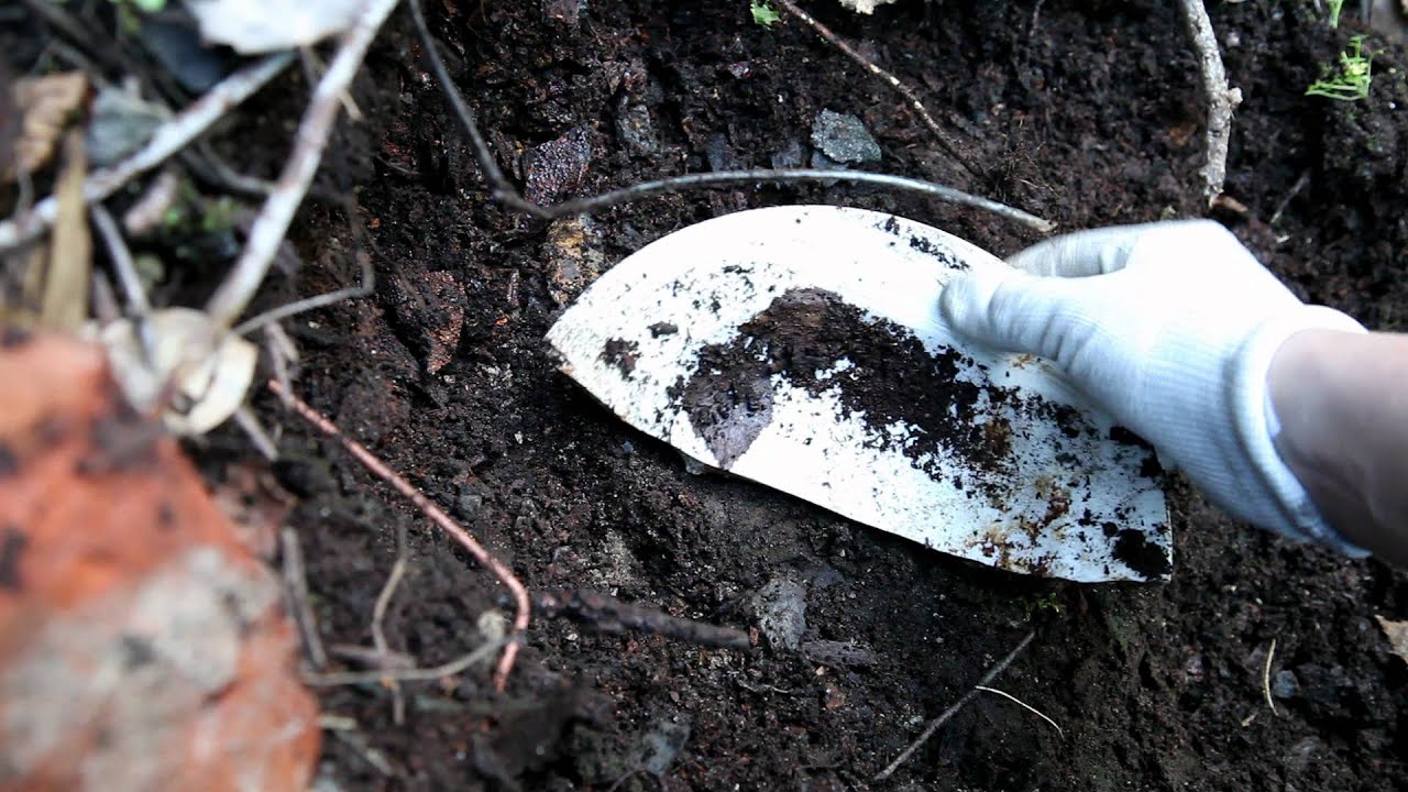 WW2 RELICS NORWAY - Metal Detecting #3 - YouTube