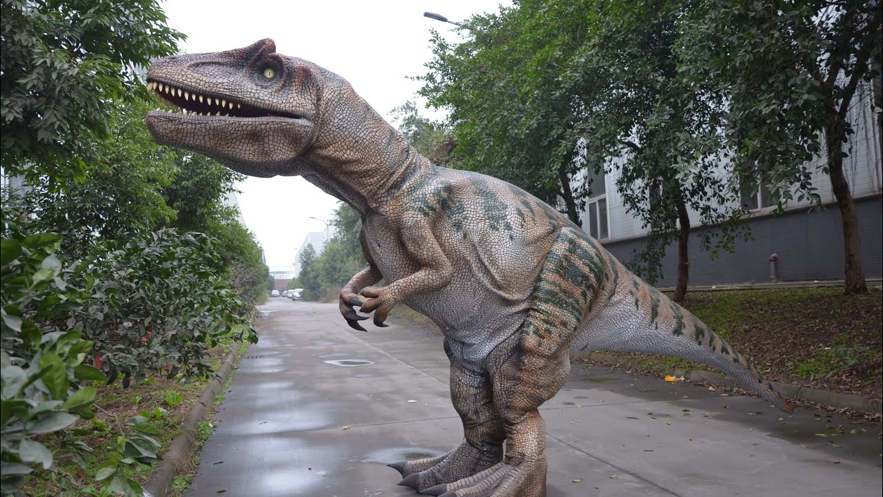 Large hidden legs allosaurus for dino shows - YouTube