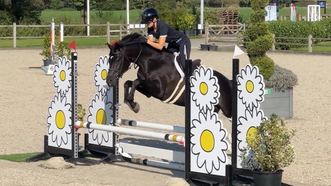 4yo Pac-Man WS (Secret) as hunter 🥰 - jumping & flatwork - YouTube