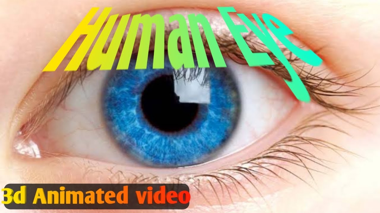 Ll Human Eye Ll Class 8th 9th And 12th Ll Full Explanation And Concept Ll ll-human-eye-ll-class-8th-9th-and-12th-ll-full-explanation-and-concept-ll