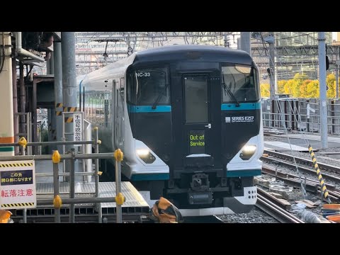 E257系2500番台ｵｵNC-33編成＋2000番台ｵｵNA-09編成が特急踊り子3号伊豆急下田・修善寺行きの送り込み回送として東京駅9番線に到着停車するシーン（回3022M）2023.12 ...