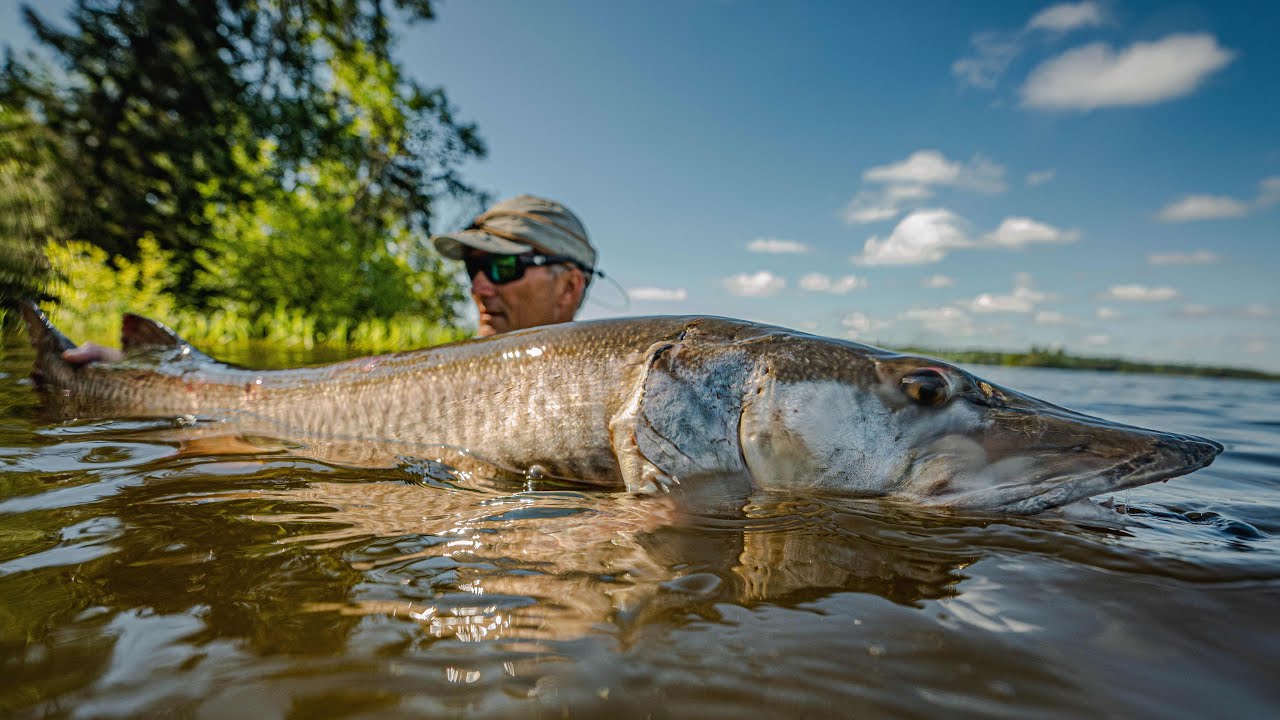 The Cult | A Muskie Documentary | Trailer - YouTube