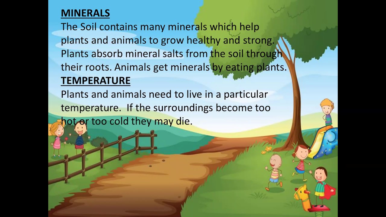 Unit 4 Living things and their environment Part II - YouTube