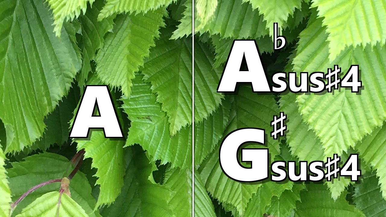 A to Absus #4 (G#sus #4) Backing Track - YouTube