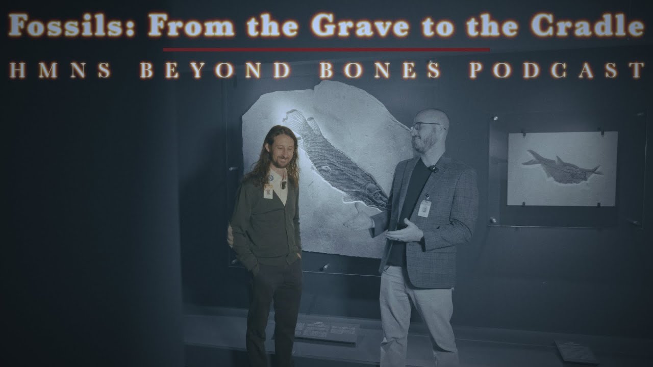 From dirt to display, here's what it takes to prepare gorgeous fossils | HMNS BEYOND BONES ...