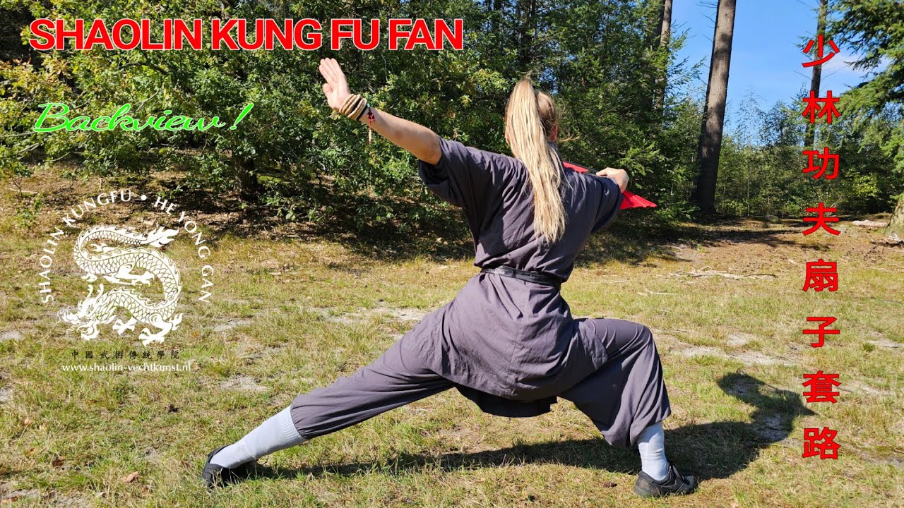 Shaolin Kung Fu Fan Form – Back View | Traditional Martial Arts 🪭🐉 ...