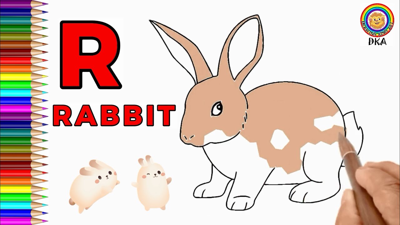 How to draw a RABBIT 🐰| Paint Color in a RABBIT | Learn ABC | RABBIT ...