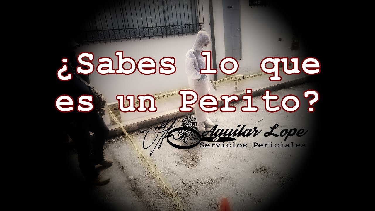 ¿Qué es un perito? - YouTube
