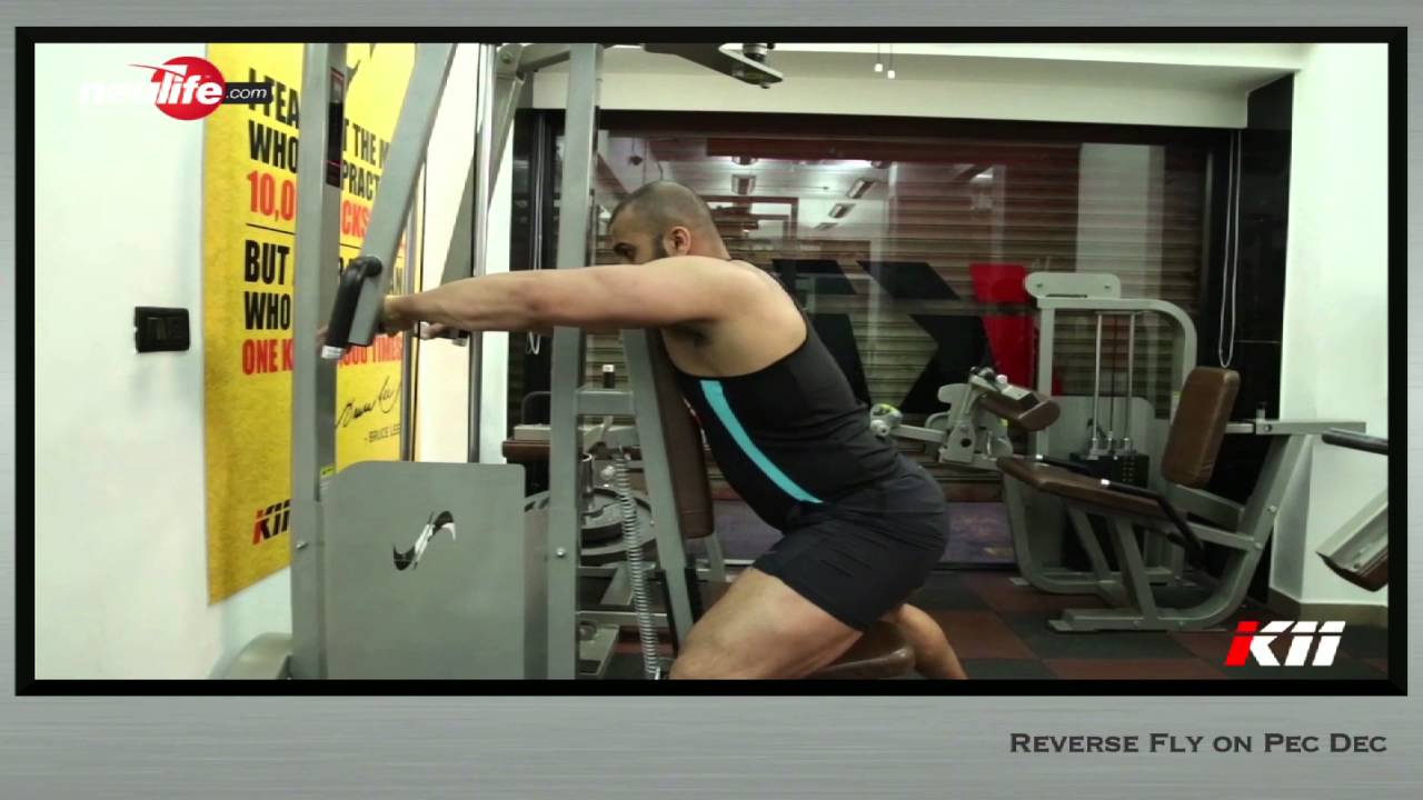 Reverse Fly on Pec Dec - YouTube