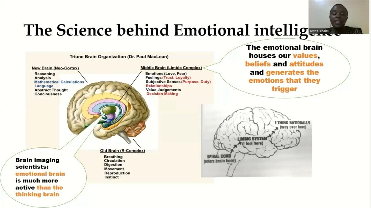 The Science behind Emotional Intelligence - YouTube