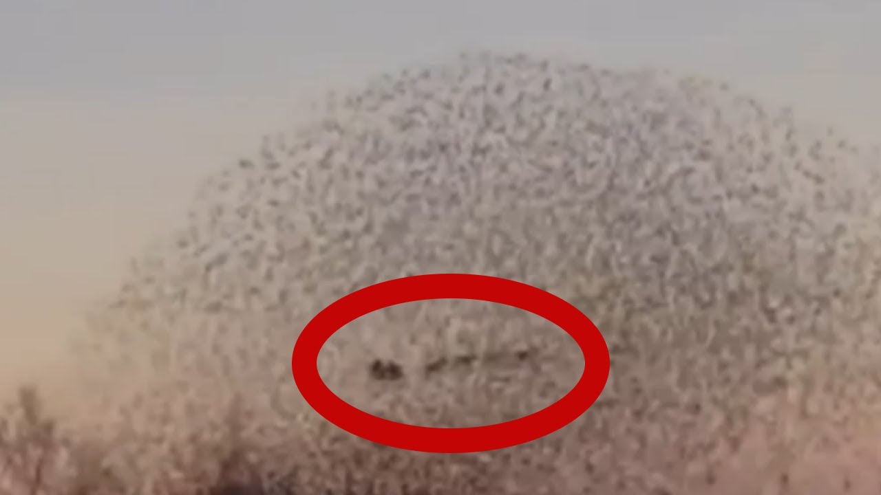 5 FLYING SANTA CLAUS caught on camera | spotted in real life Part 6 ...