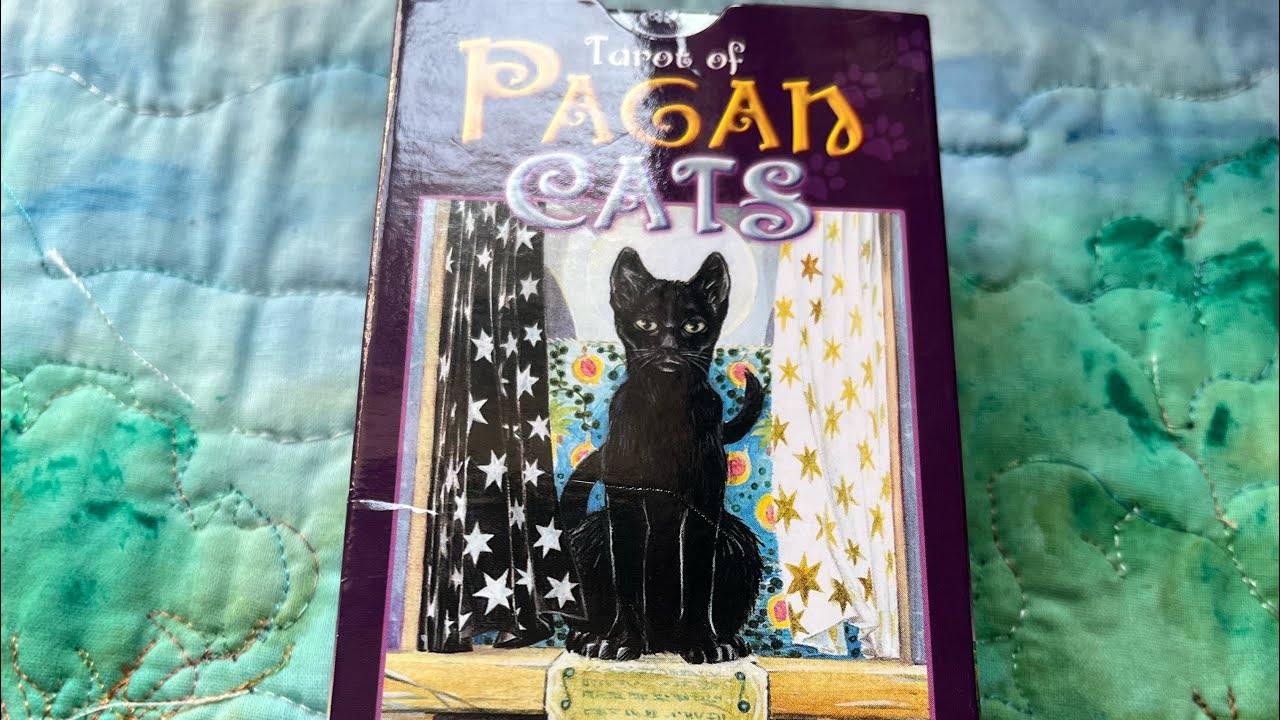Tarot of Pagan Cats ~ Walkthrough - YouTube