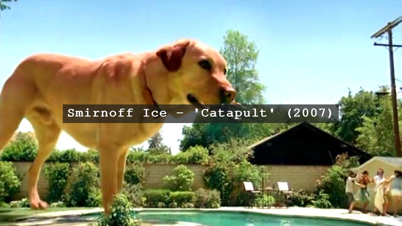 Giant Golden Labrador Interrupts a Pool Party [Advertisement] - YouTube