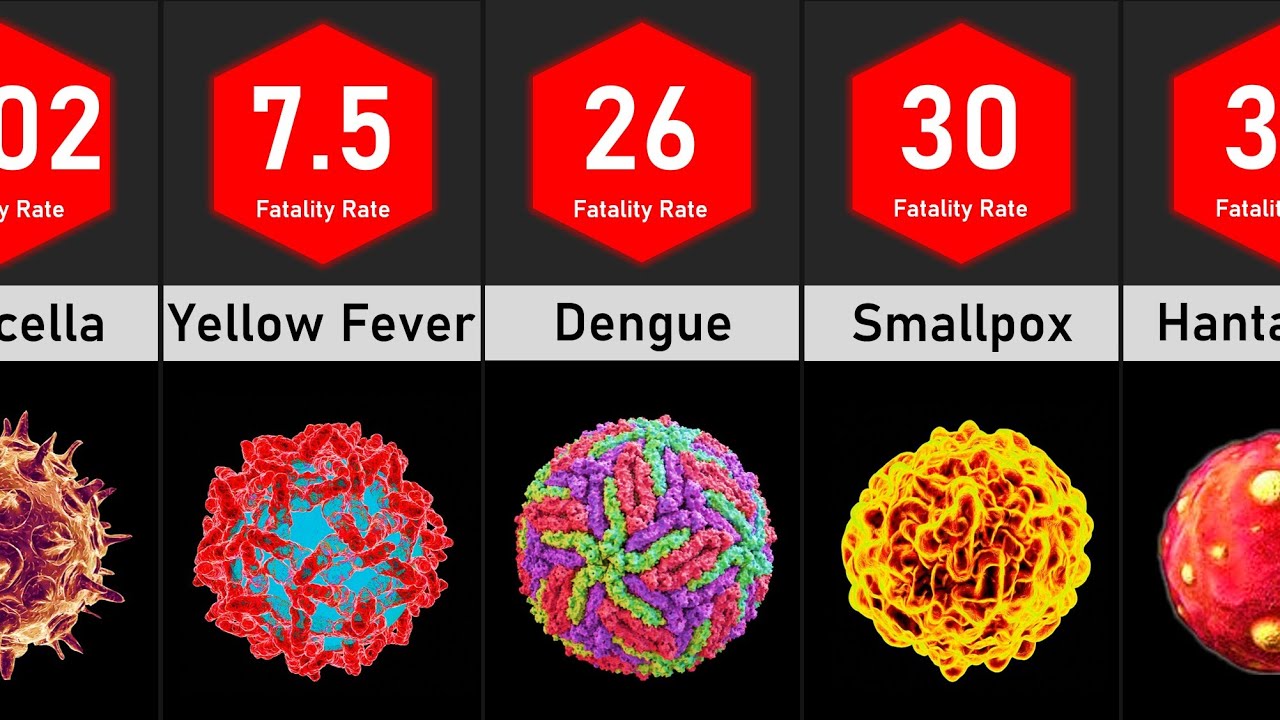 Pandemic Comparison: Deadliest Diseases Fatality Rates | Data Tuber ...