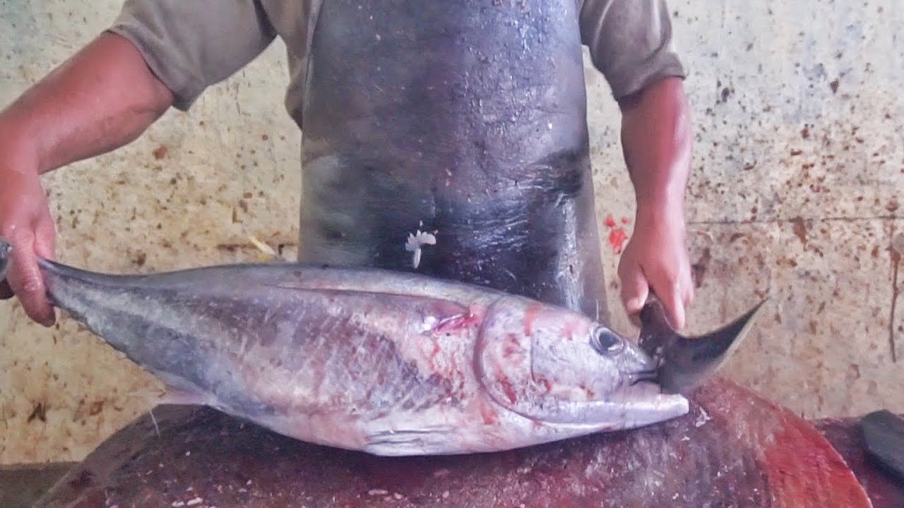 AMAZING CUTTER MASTER || GIANT SKIPJACK FISH CUTTING BY FASTEST FISH ...