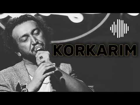 KORKARIM ( Ahmet Kaya Cover ) - Haşim Tayyar #korkarım #ahmetkaya #haşimtayyar #canlıperformans