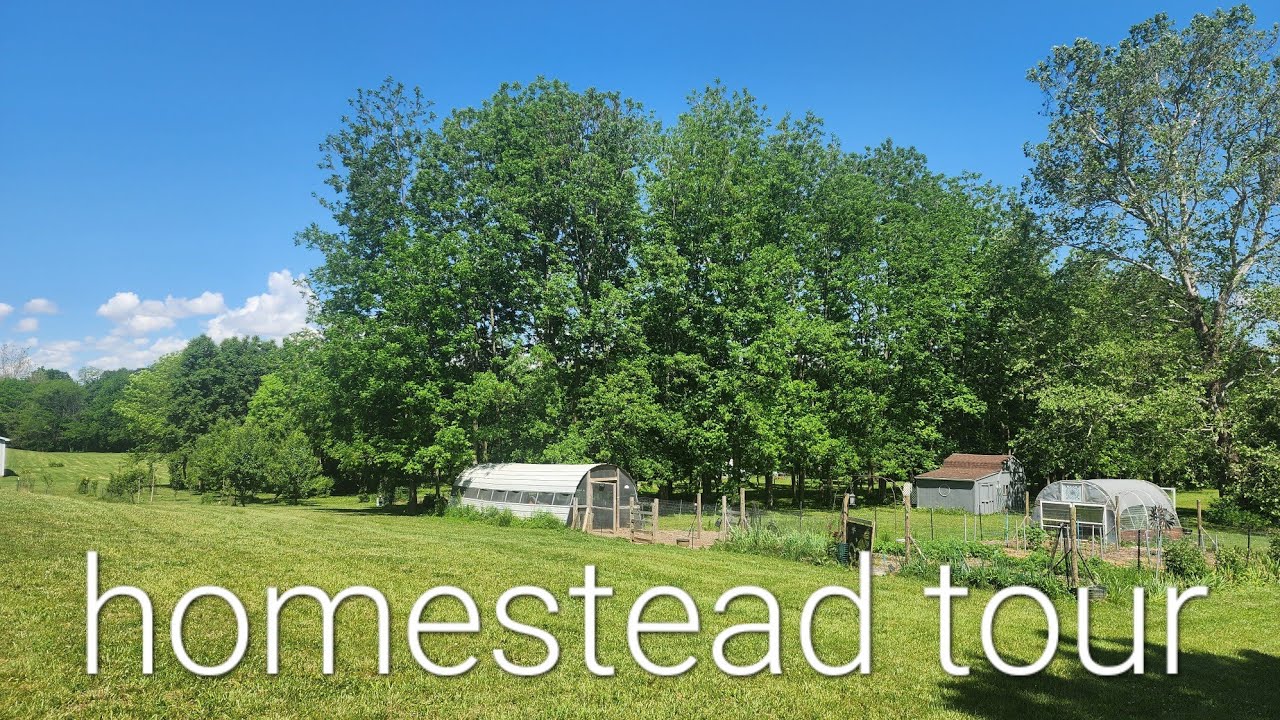 Full Homestead Tour 5/31/23 tour our 10 acre Indiana homestead - YouTube