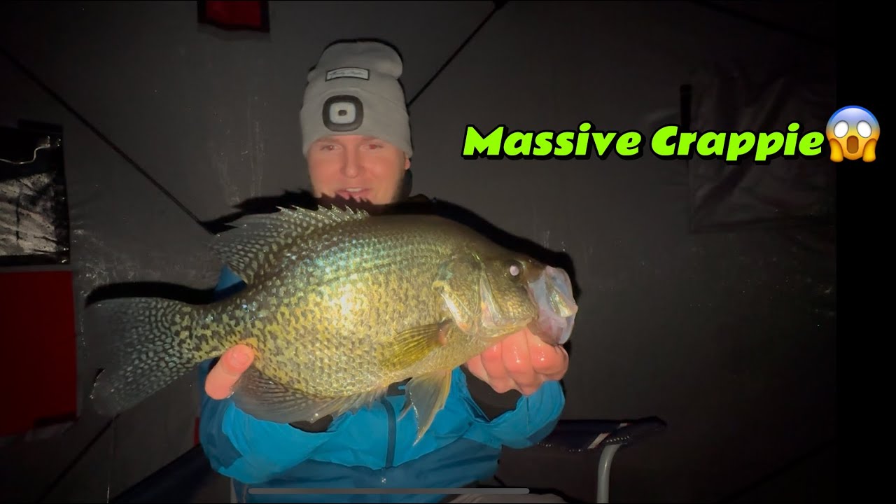 NIGHT fishing for MASSIVE crappie (Crazy!) - YouTube