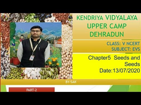 EVS||CLASS 5||NCERT|| CHAPTER 5 SEEDS & SEEDS|| Explanation Video ...