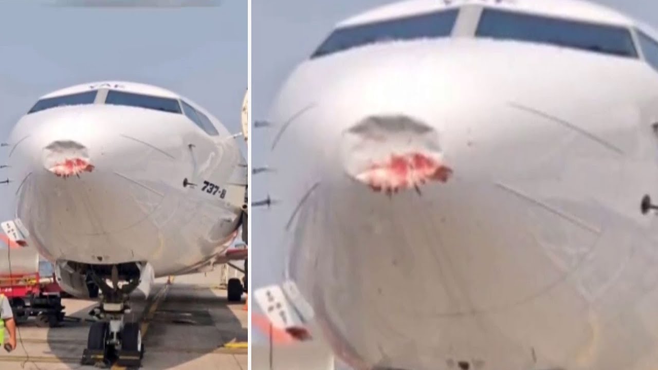 Delhi bound Akasa flight suffers bird hit; radome damaged - YouTube