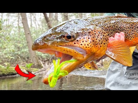 Fishing for Trout with PowerBait Atomic Teaser Jigs (GIANT Surprise ...