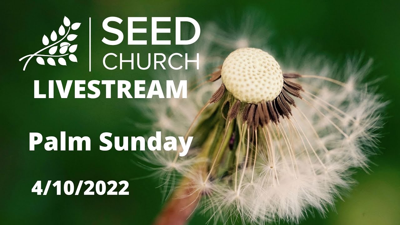 Seed Church Live Stream - YouTube