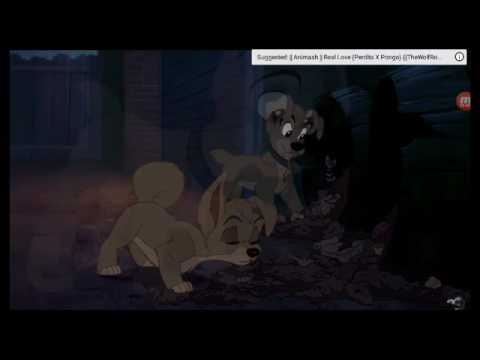 Scamp meets angel scamp off - YouTube