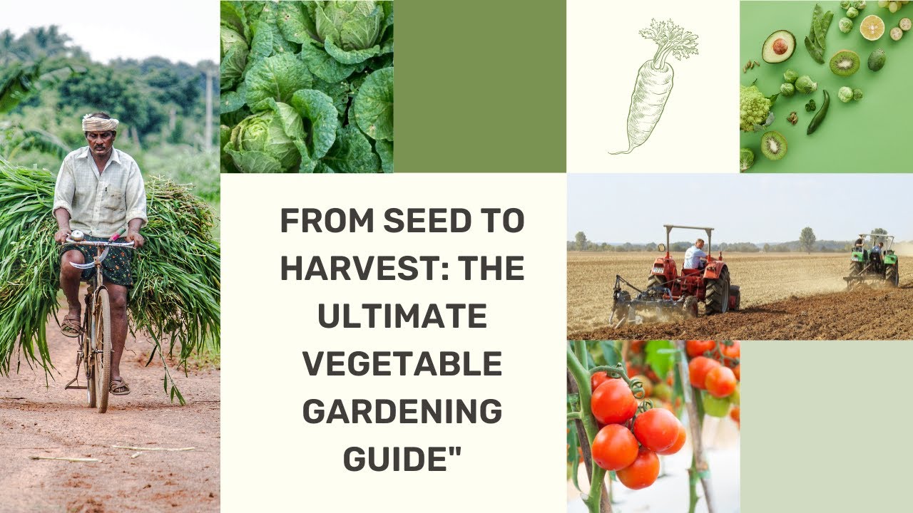 From Seed to Harvest The Ultimate Vegetable Gardening Guide - YouTube