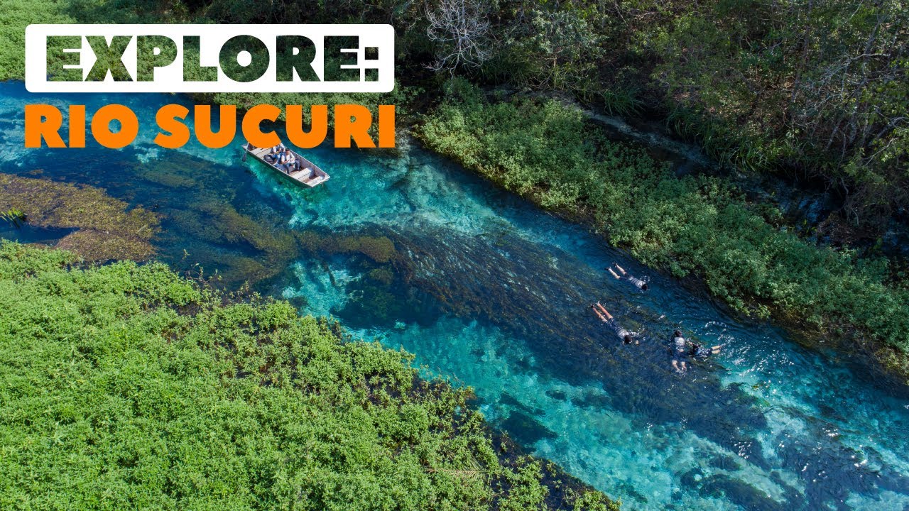 Explore: Rio Sucuri | Bonito MS - Bonitour| 4K - YouTube