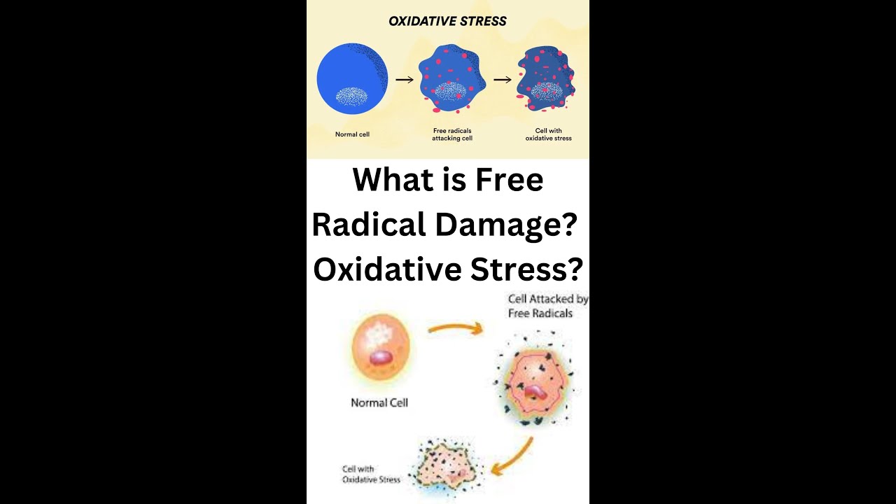 What is Free Radical Damage? Oxidative Stress? (Cell & DNA Damage ...