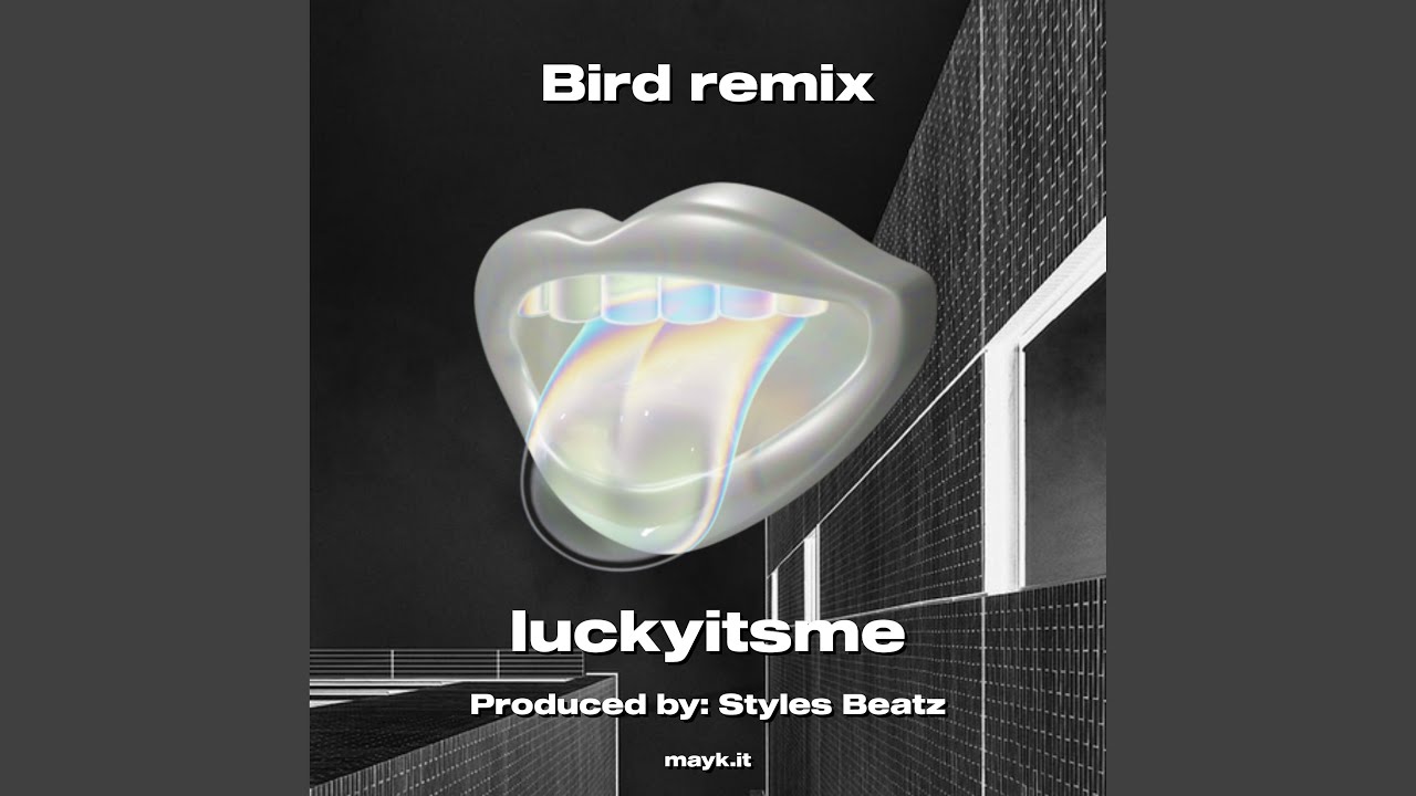 Bird remix - YouTube
