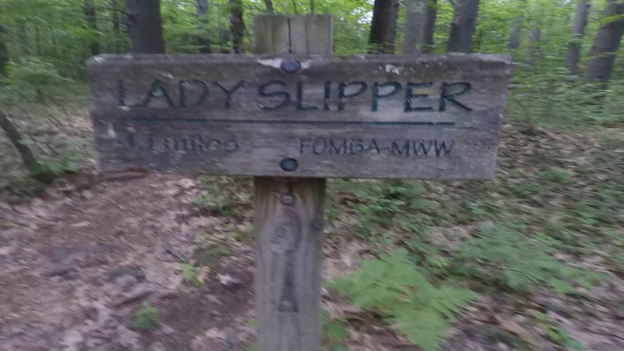 Mountain Biking lake Massabesic FOMBA trails 6-7-18 - YouTube