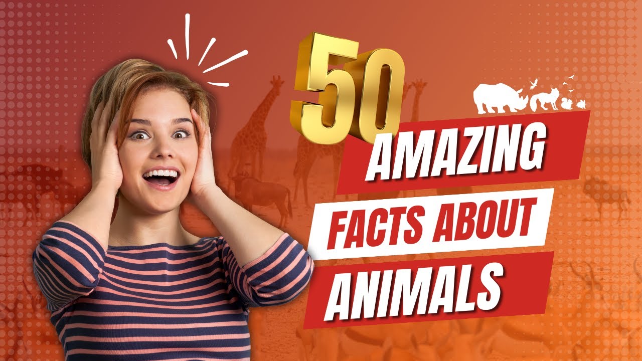 50 Amazing Facts About Animals To Blow Your Mind! | 50 Crazy Facts ...