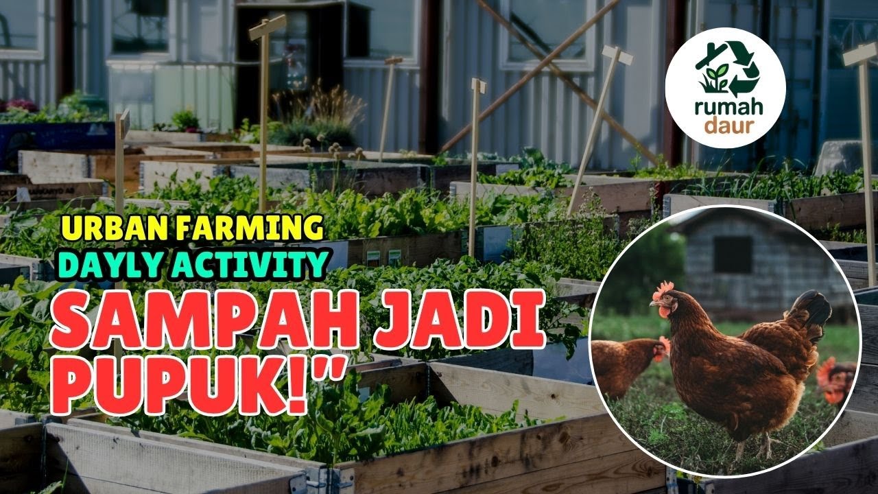 “Daun Kering Jadi Kompos! Rutinitas Urban Farming di Rumah" - YouTube