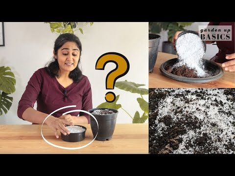 How To Use Perlite In Gardening