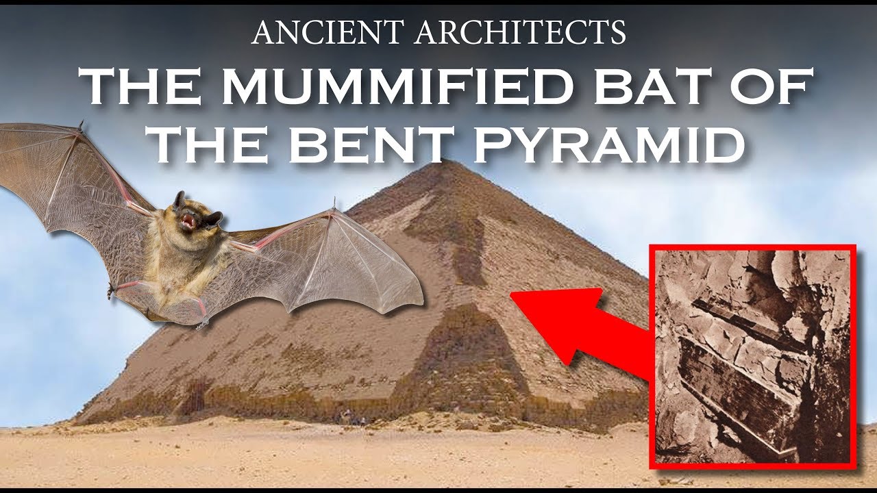 The Mummified Bat in the Bent Pyramid of Egypt | Ancient Architects ...
