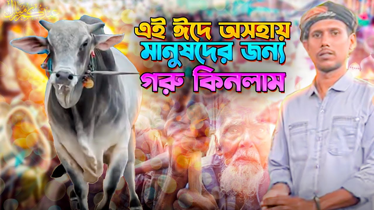 এই ঈদে অসহায় মানুষদের জন্য গরু কিনলাম | Manik Miah Official - YouTube