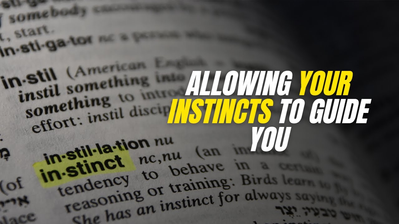 Allowing Your Instincts to Guide You - Motivational Video! - YouTube