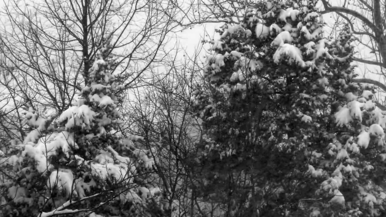 Blizzard - December 19, 2009 - YouTube