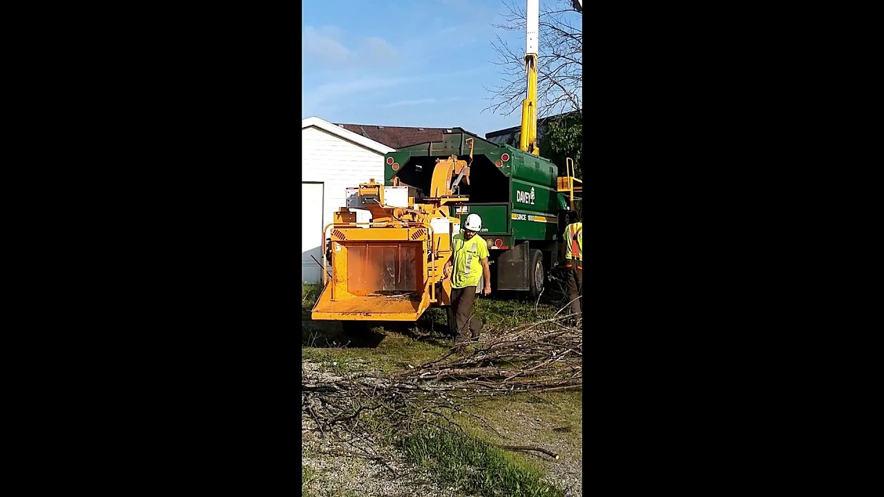 Davey`s Tree Removal Instruction Video - YouTube