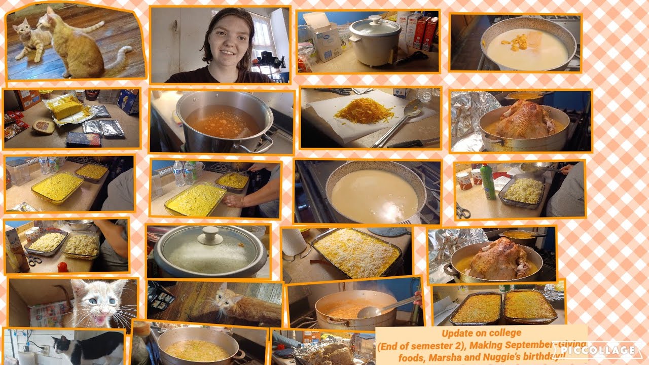 Update On college End of Sem 2 + Marshmallow's and Nuggie's Birthday! # ...